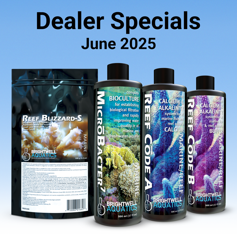 Brightwell Wholesale